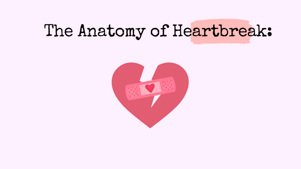 The Anatomy of Heartbreak: Why Relationships Fail and How to Rebuild Better