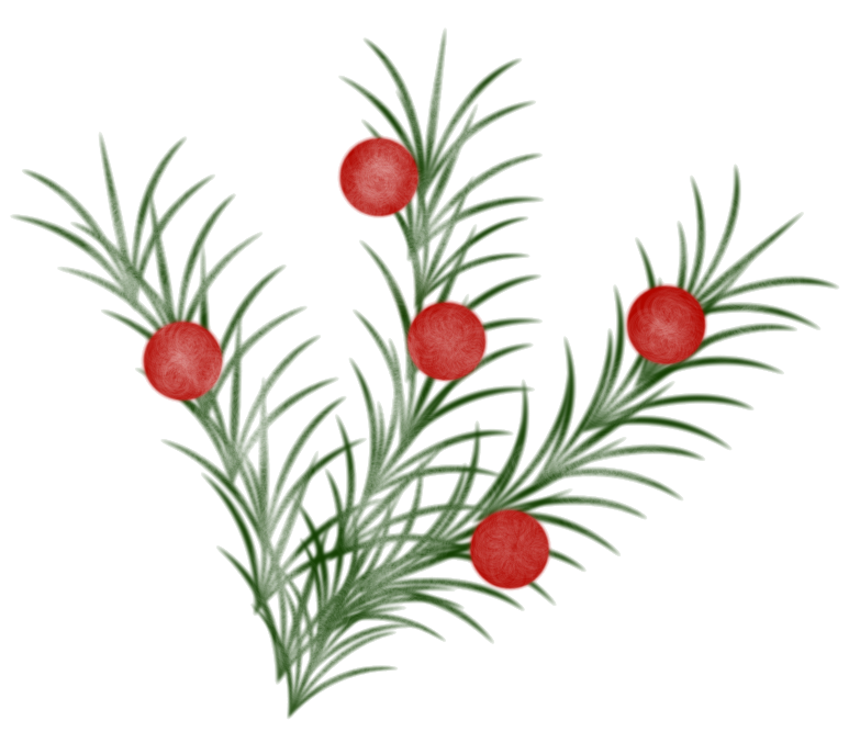 Misc. Transparent Assets