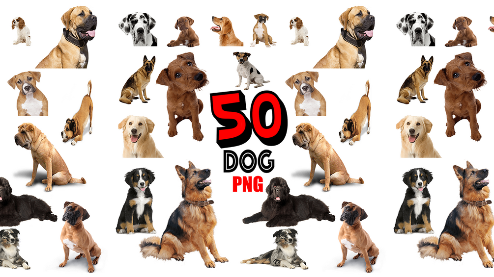 50 Dog and Puppy PNG Design Bundle for Digital Crafting and Printing