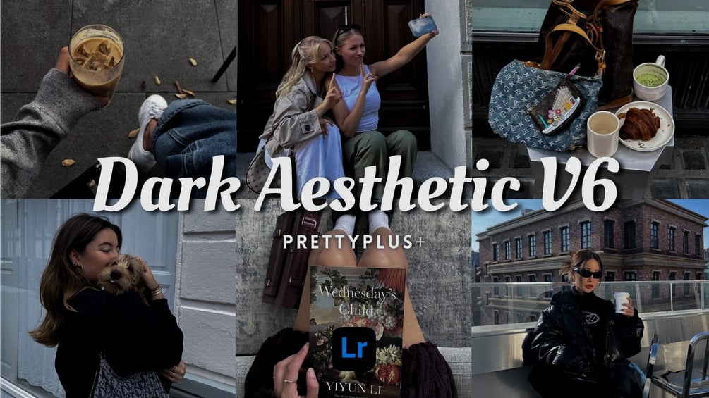 Dark Aesthetic V6 - Lightroom Preset | iOS & Android | PC Windows & Mac