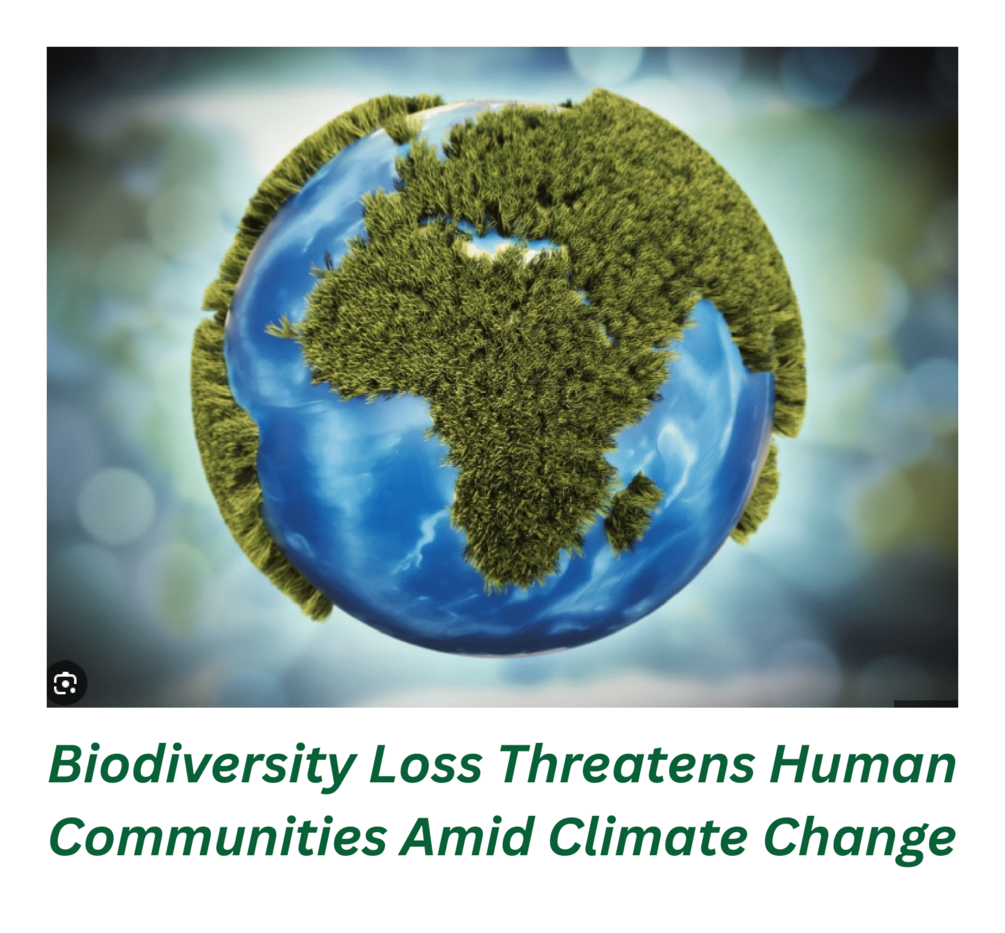 Biodiversity Loss Threatens Human Communities Amid Climate Change🌎🌎