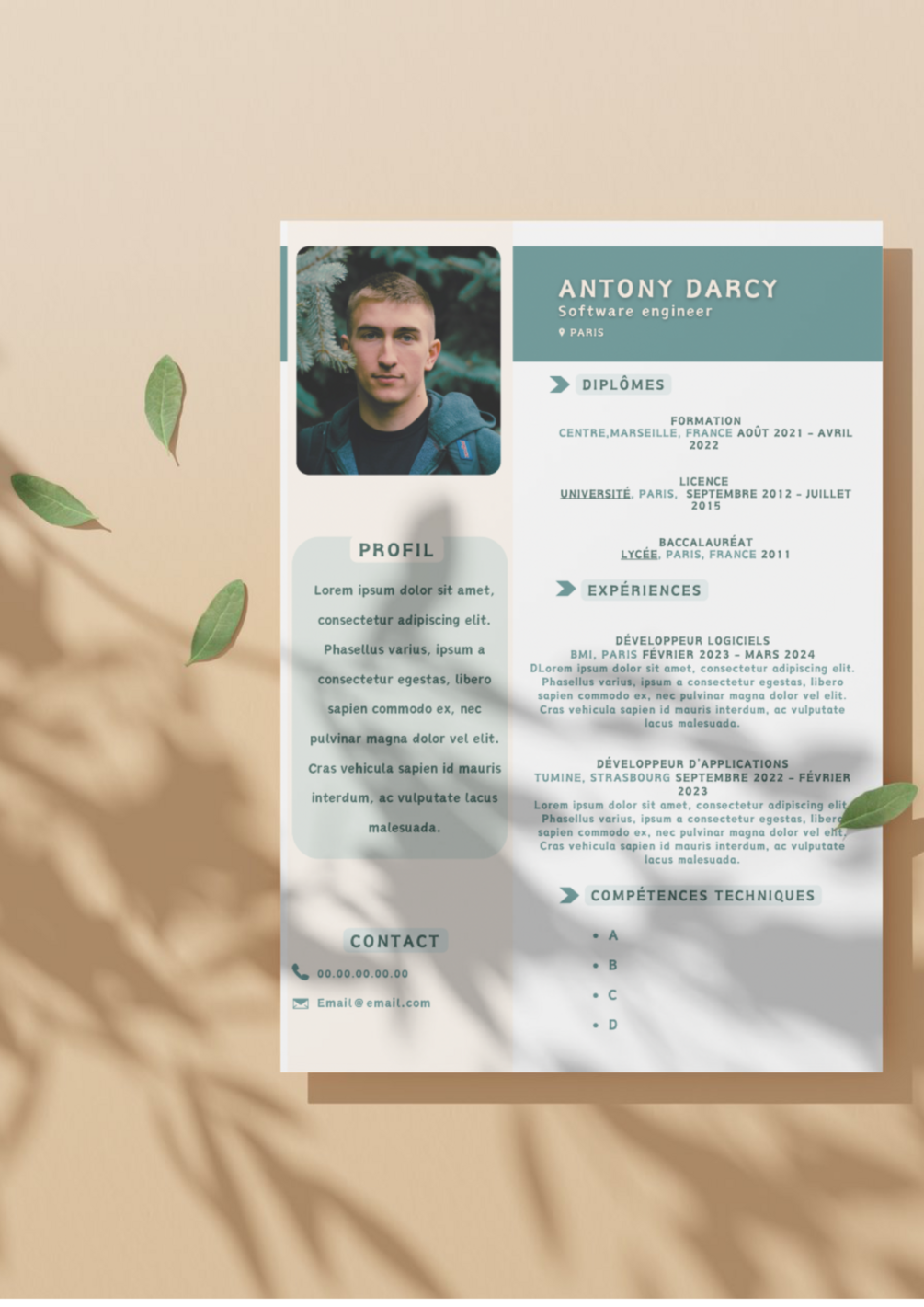 Template de CV Professionnel - Modifiable sous Canva et PDF