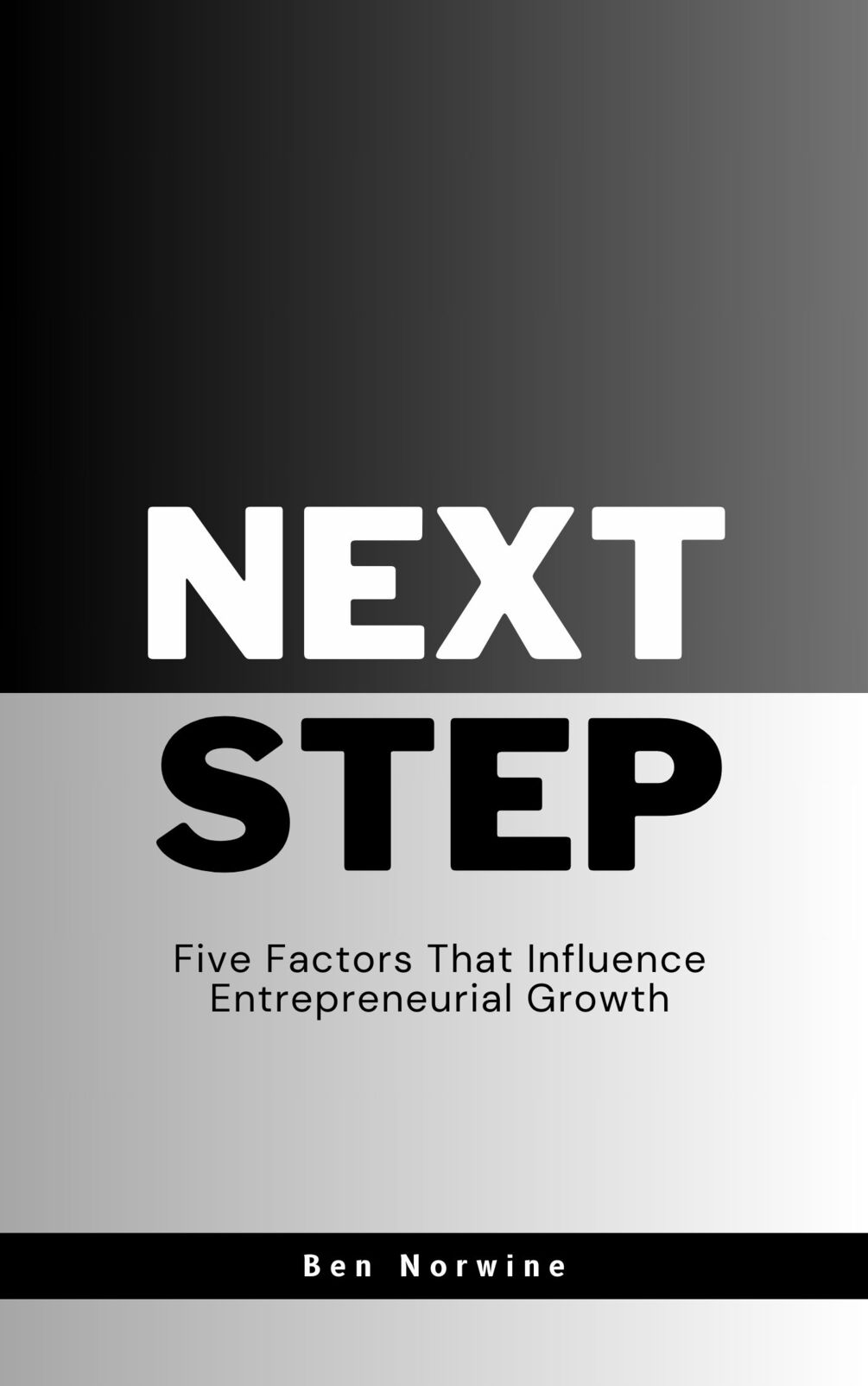 Next Step: Five Factors That Influence Entrepreneurial Growth