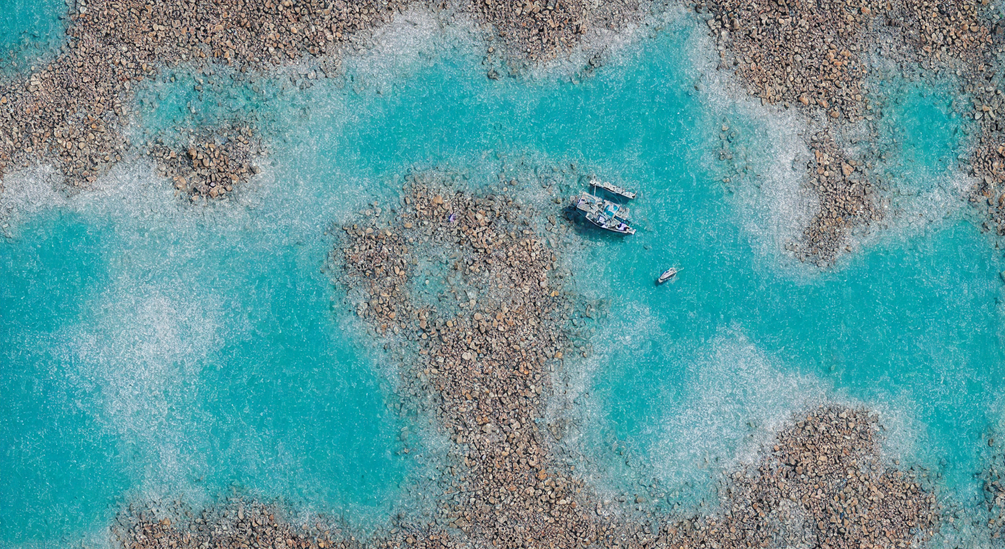 Blue See