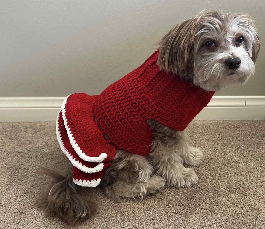 Dog Ruffle Sweater