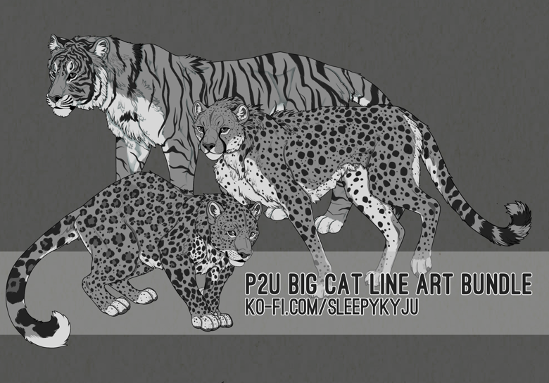 P2U Big cat base bundle set A