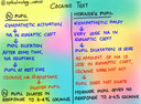 Opthalmology Flashcards