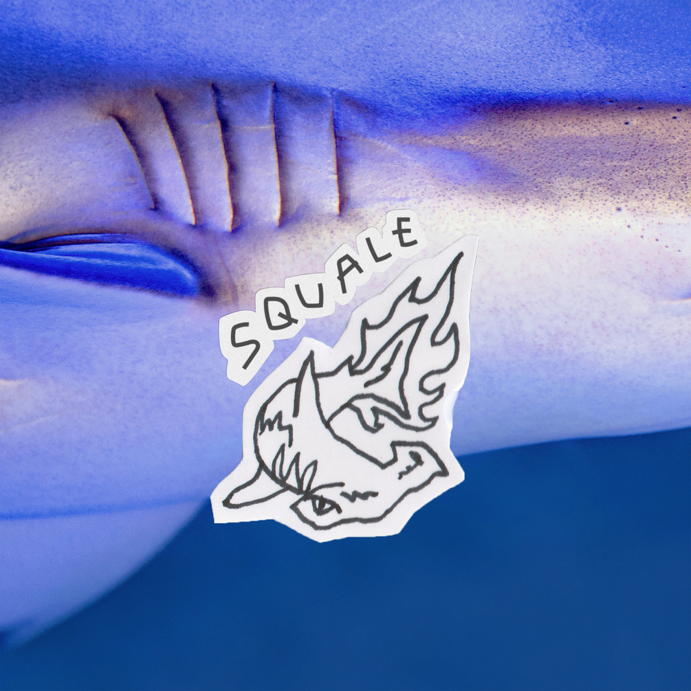 Squale cover