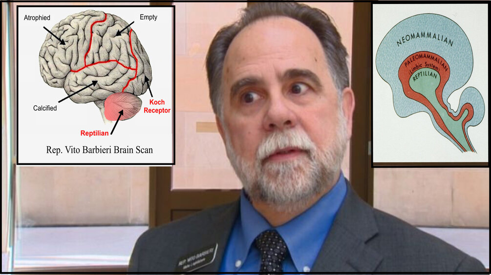 Vito Brain