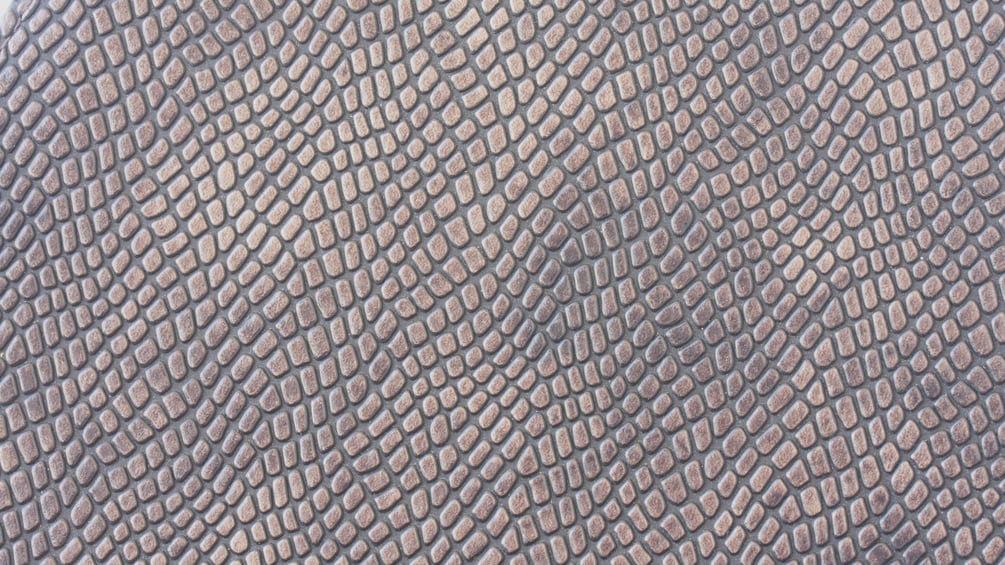 (FREE PRODUCT) Snake Skin Textures 1k 2k 4k