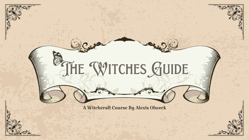 The Witches Guide