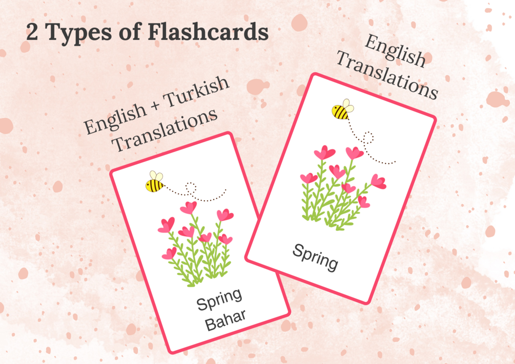 Seasons Flashcards (Turkish - English)