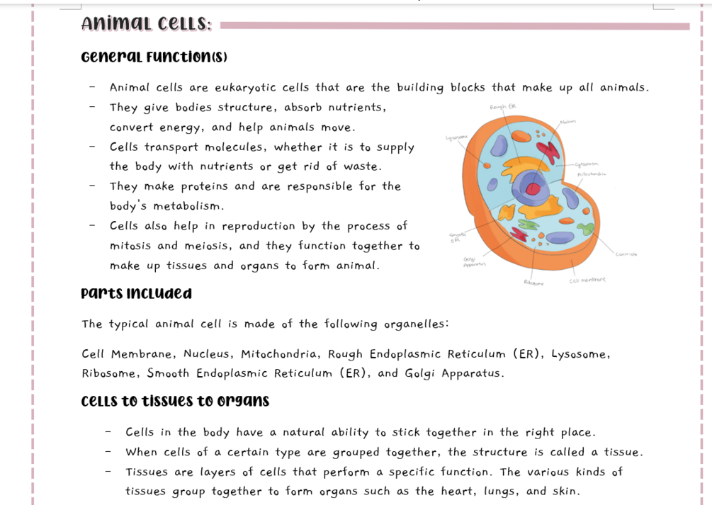 9th Grade Biology Full Couse Study Guide
