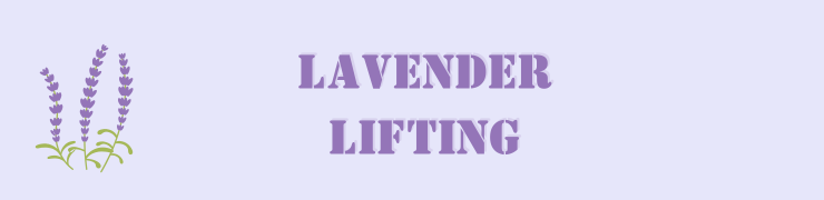Beginner No-Gym 10-Week Workout Guide | Lavender Lifting