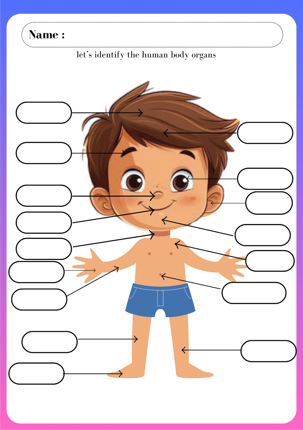 Human Body : Learn & Play Busy Book