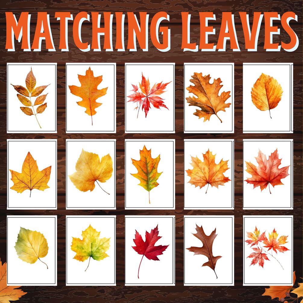 Matching Leaves, Fall Activity for Kids, Toddler Activity