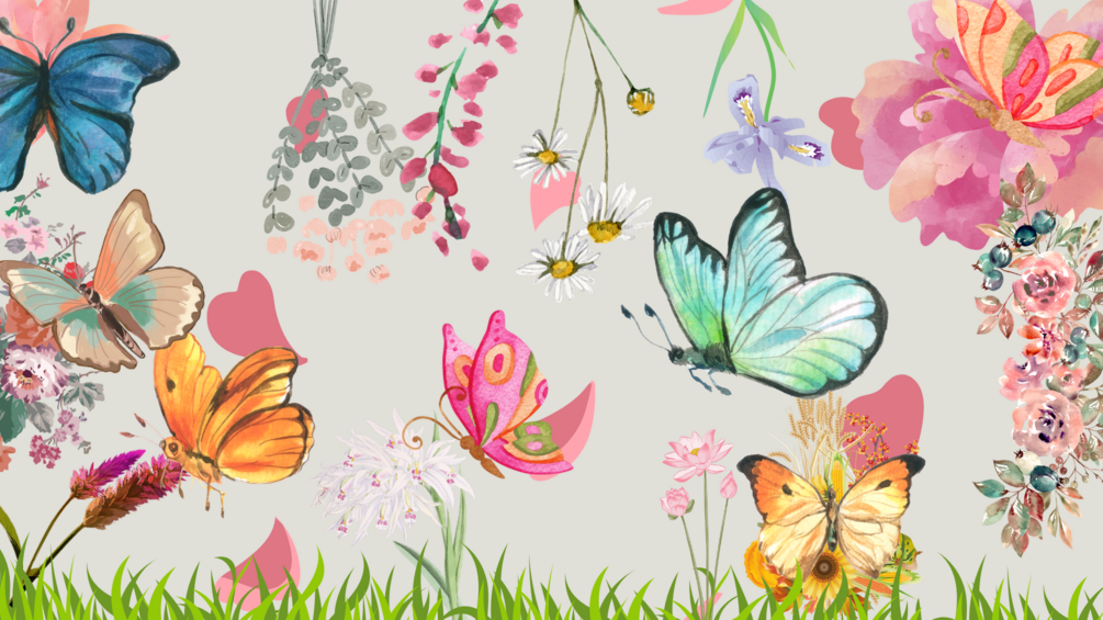 Butterfly and Flower Desktop Wallpaper