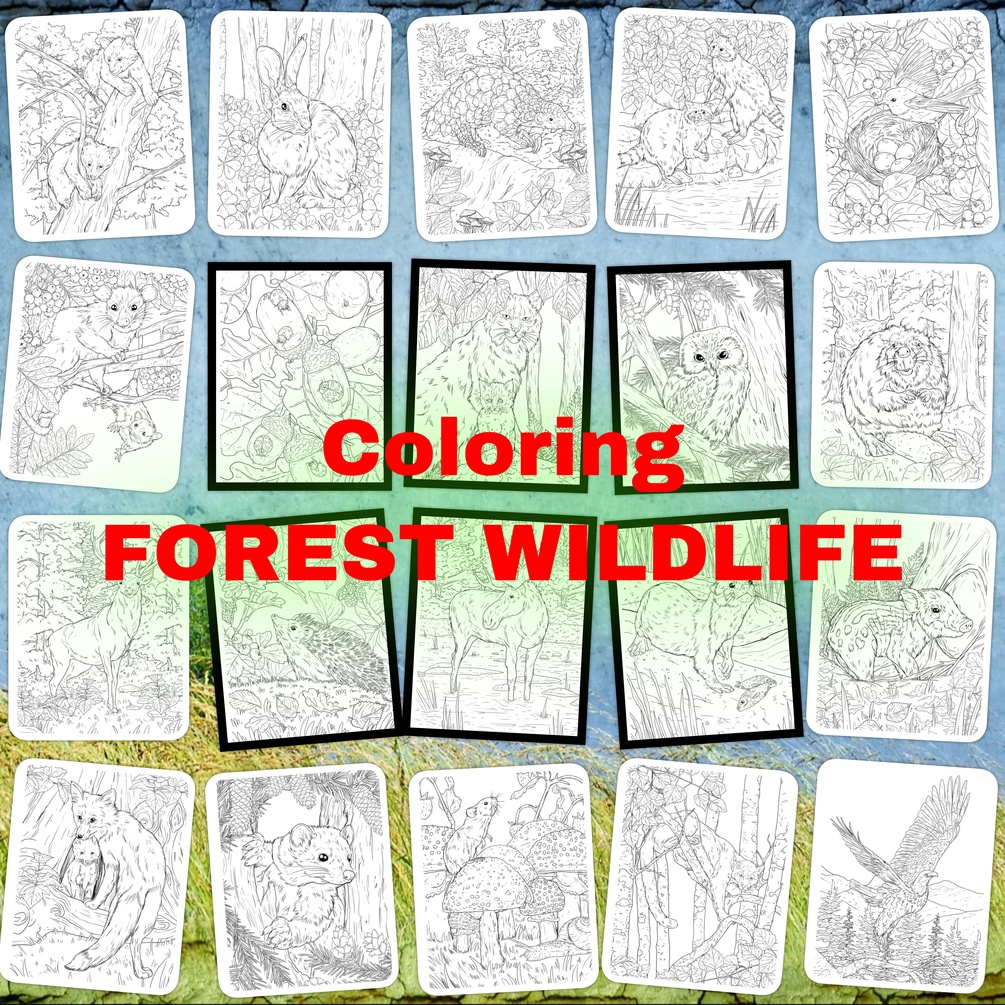 Coloring FOREST WILDLIFE