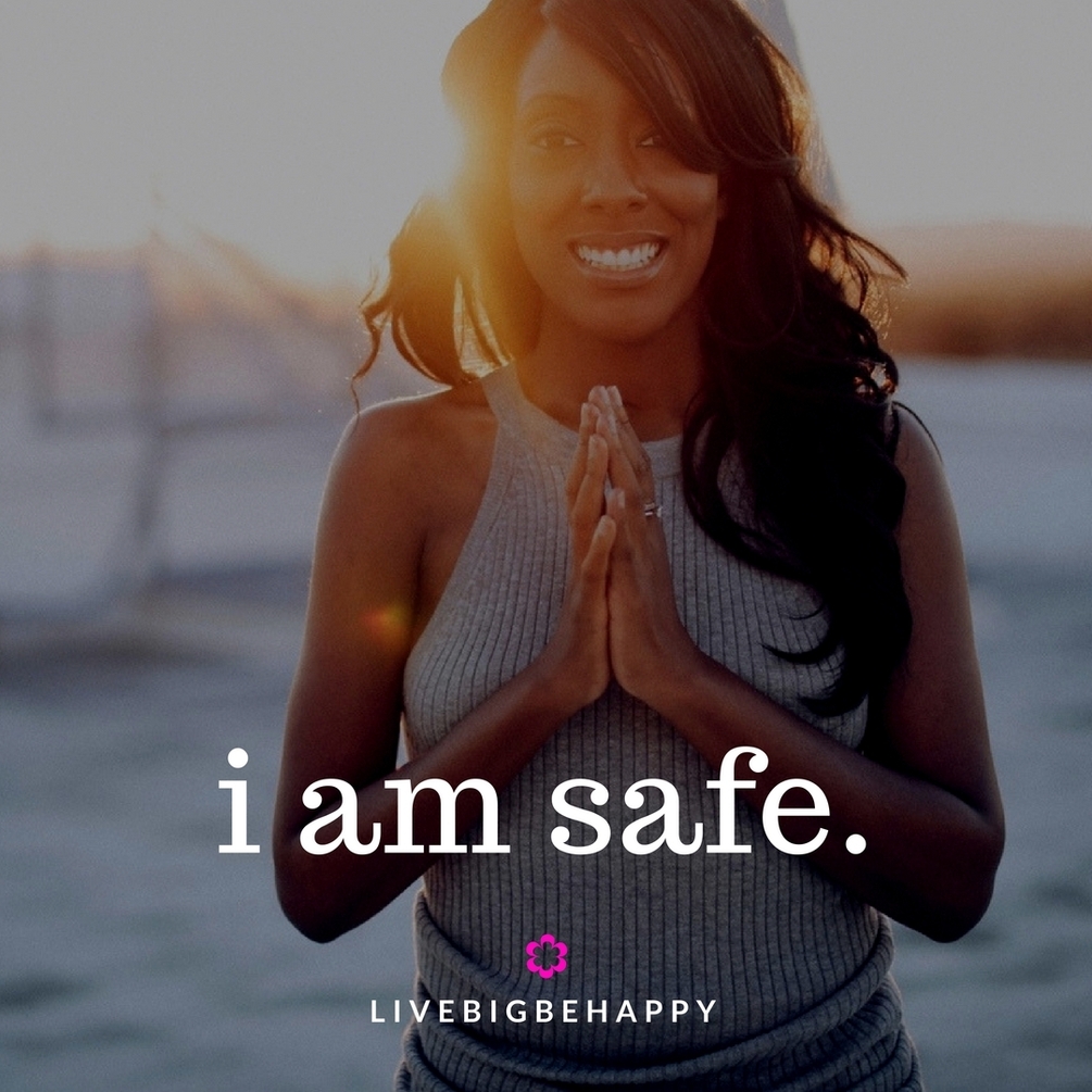 I Am Safe: Magnetization Flow -- HOLIDAY EDITION