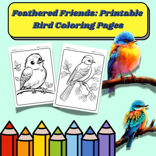 Birds Coloring Sheets – 25 Printable Pages for Kids and Adults