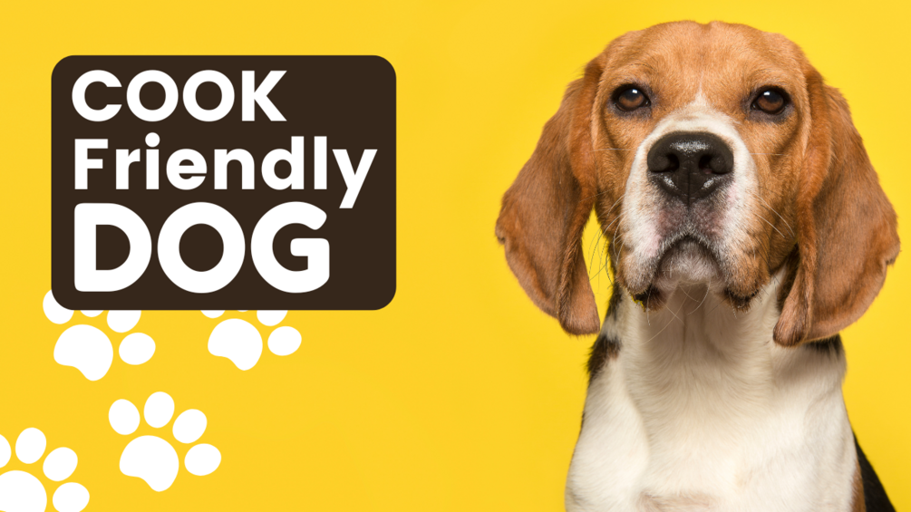 LEARN HOW TO COOK FOR YOUR DOG