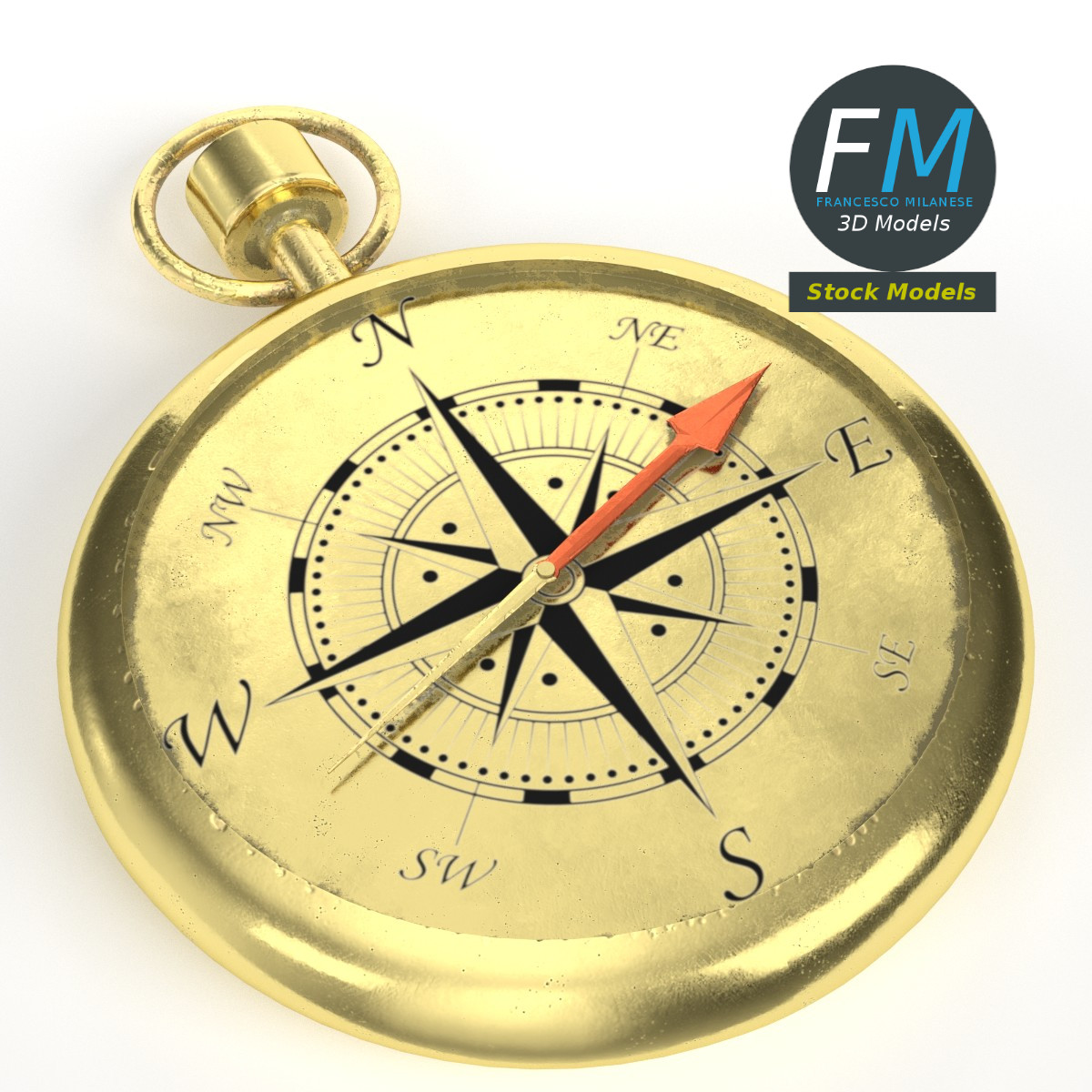 3D MODEL - Compass navigation