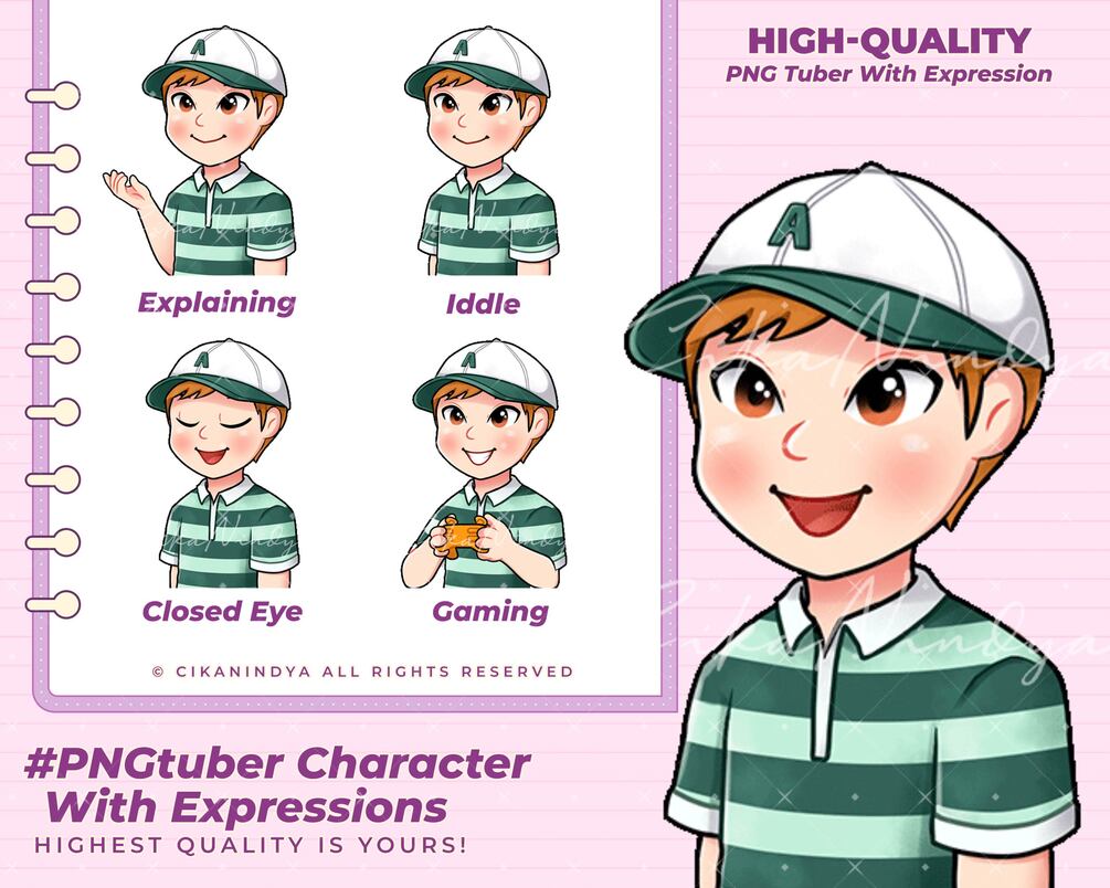 Professional PNG Tuber Graphic for Streamers - Pngtuber Commission ...