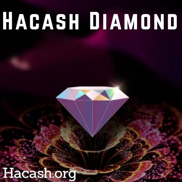 Hacash.org