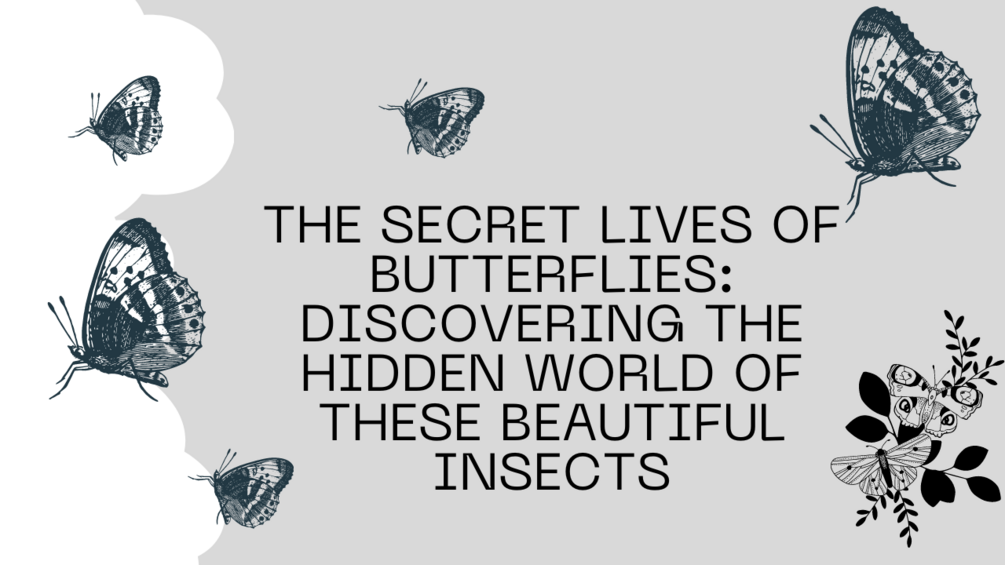 The Secret Lives of Butterflies: Discovering the Hidden World of These ...