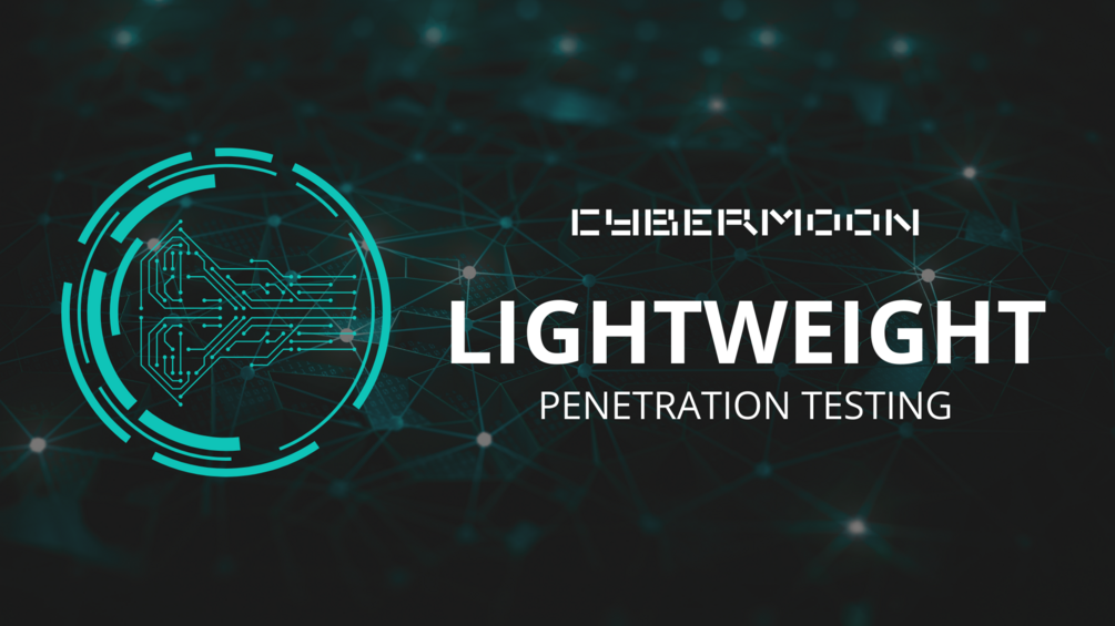 Lightweight Penetration Testing