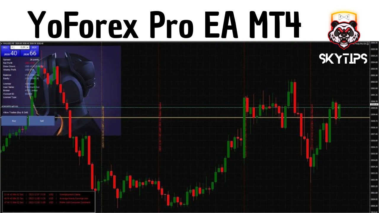 YoForex Pro EA MT4
