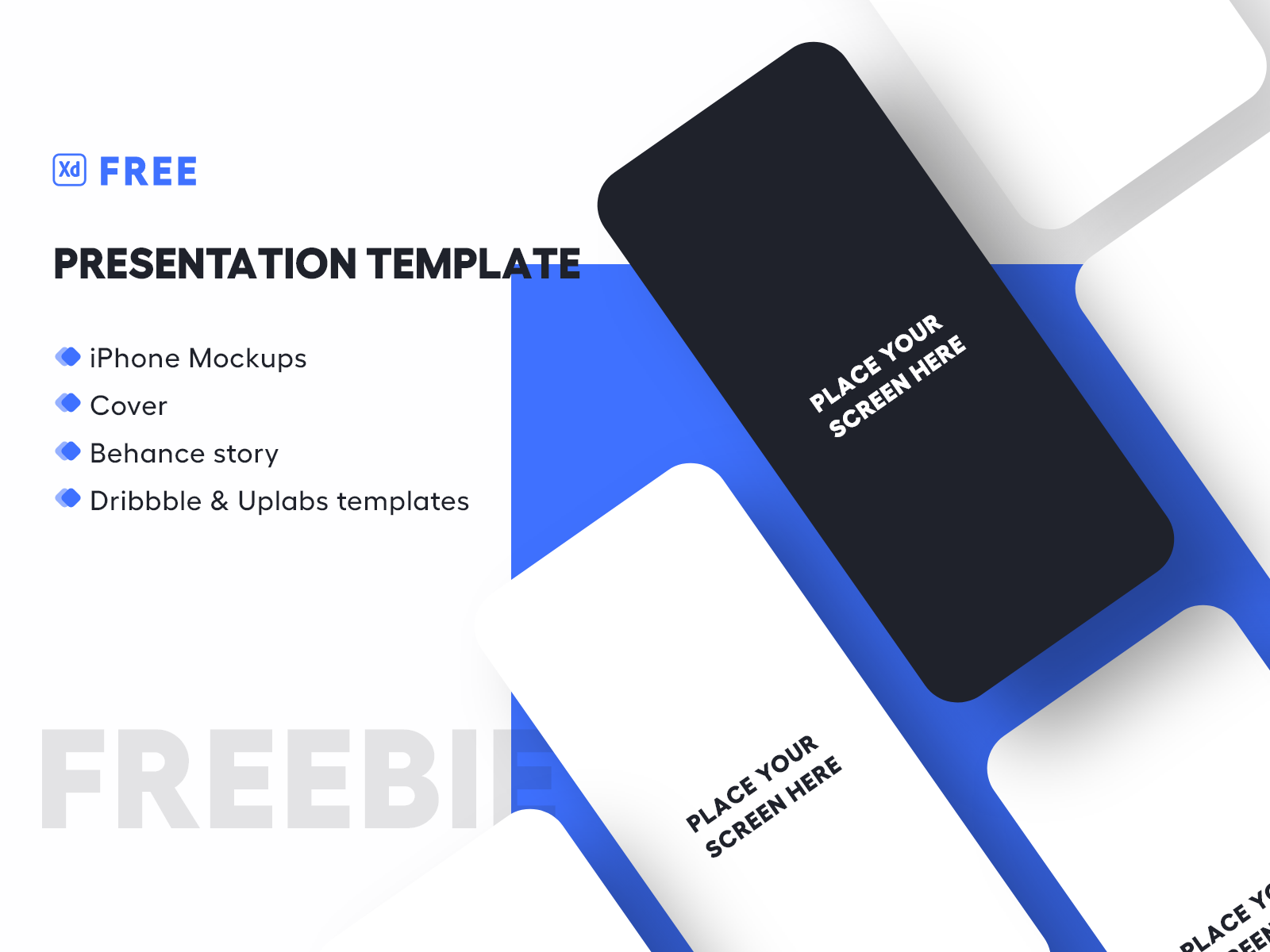 App Presentation Template