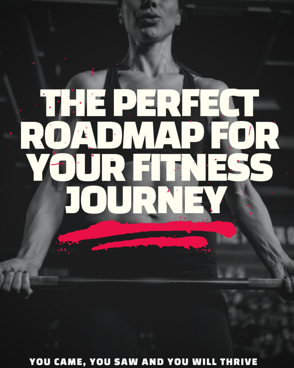 Fitness Elements 101 E-Guide