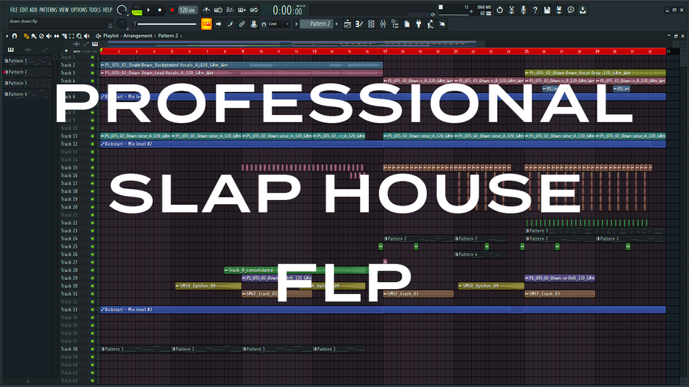 PROFESSIONAL SLAP HOUSE FLP (DOWN DOWN)