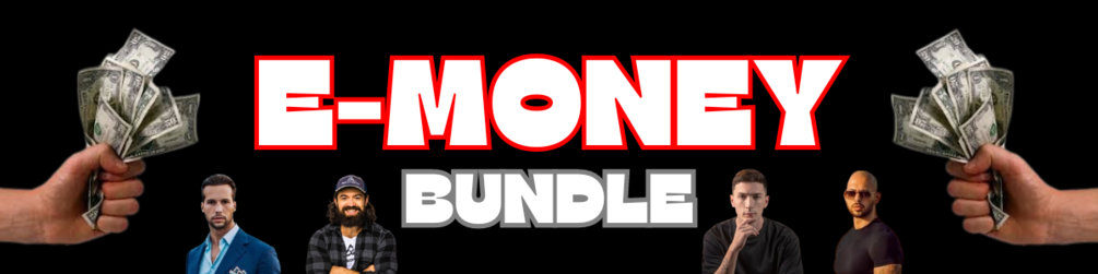 e-money bundle