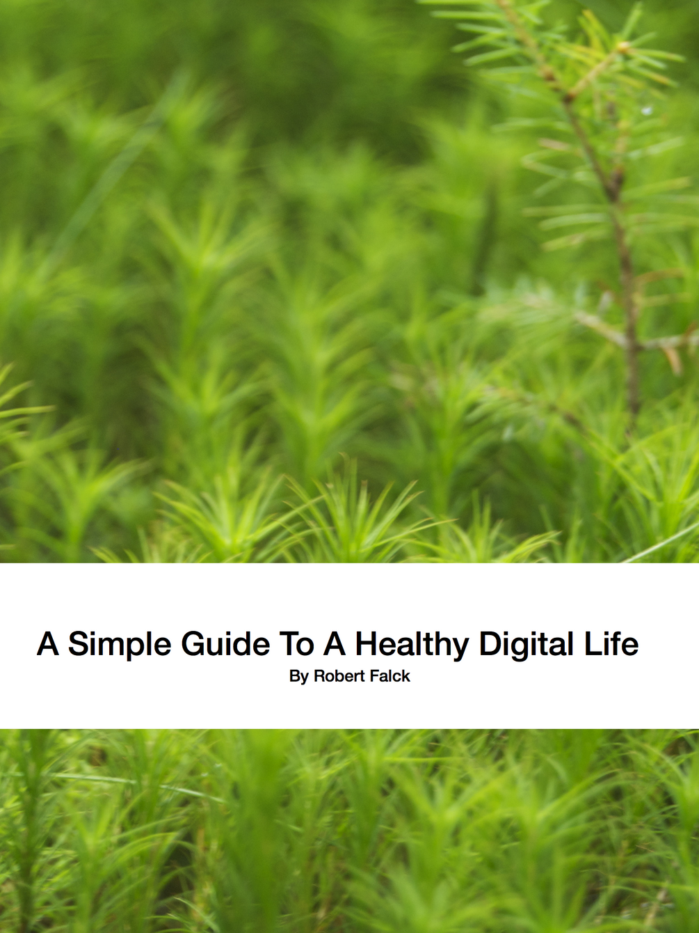 A Simple Guide To A Healthy Digital Life