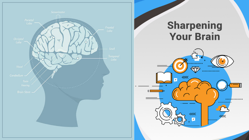 Sharpening Your Brain – Unlock the Full Potential of Your Mind