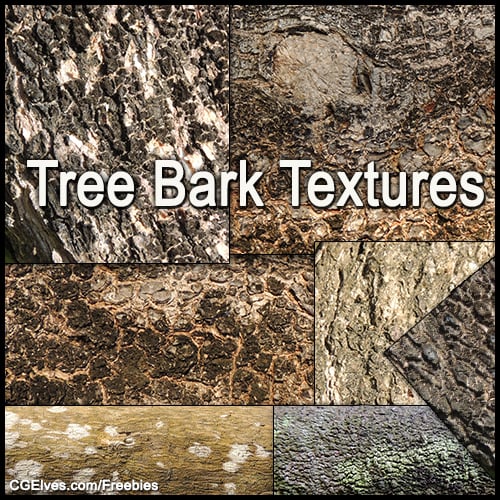 Free Old Tree Bark Textures
