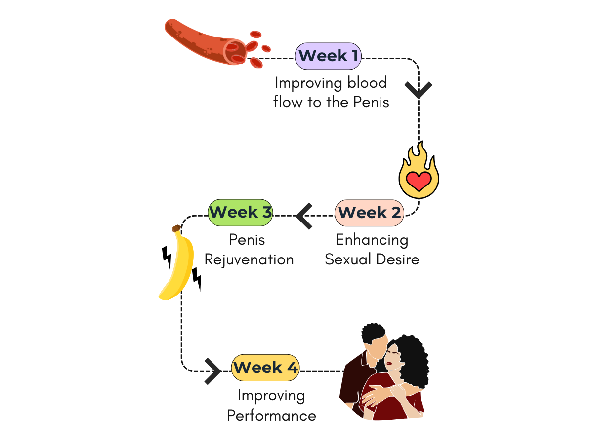 Erectoguide Videobook : Reverse Erectile Dysfunction with a 4-Week ...