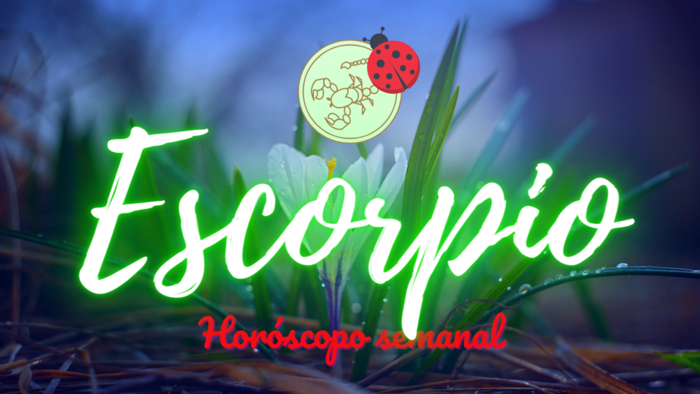 ♏Escorpio horoscopo 21-27 febrero version extendida