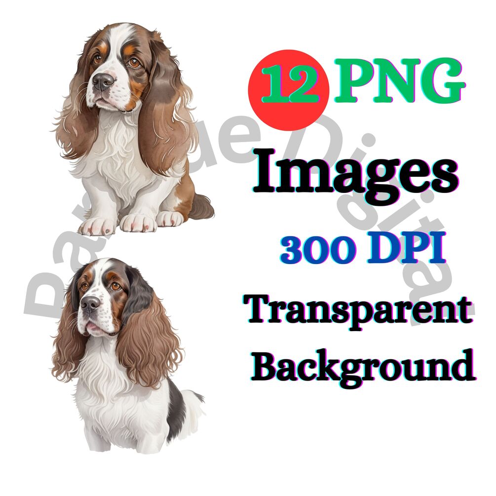 Springer Spaniel Dog Clip Art With Transparent Background | Digital ...