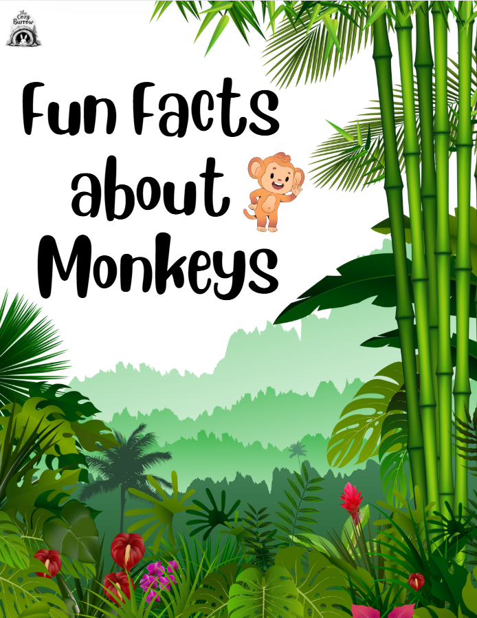 Fun Facts About Monkeys