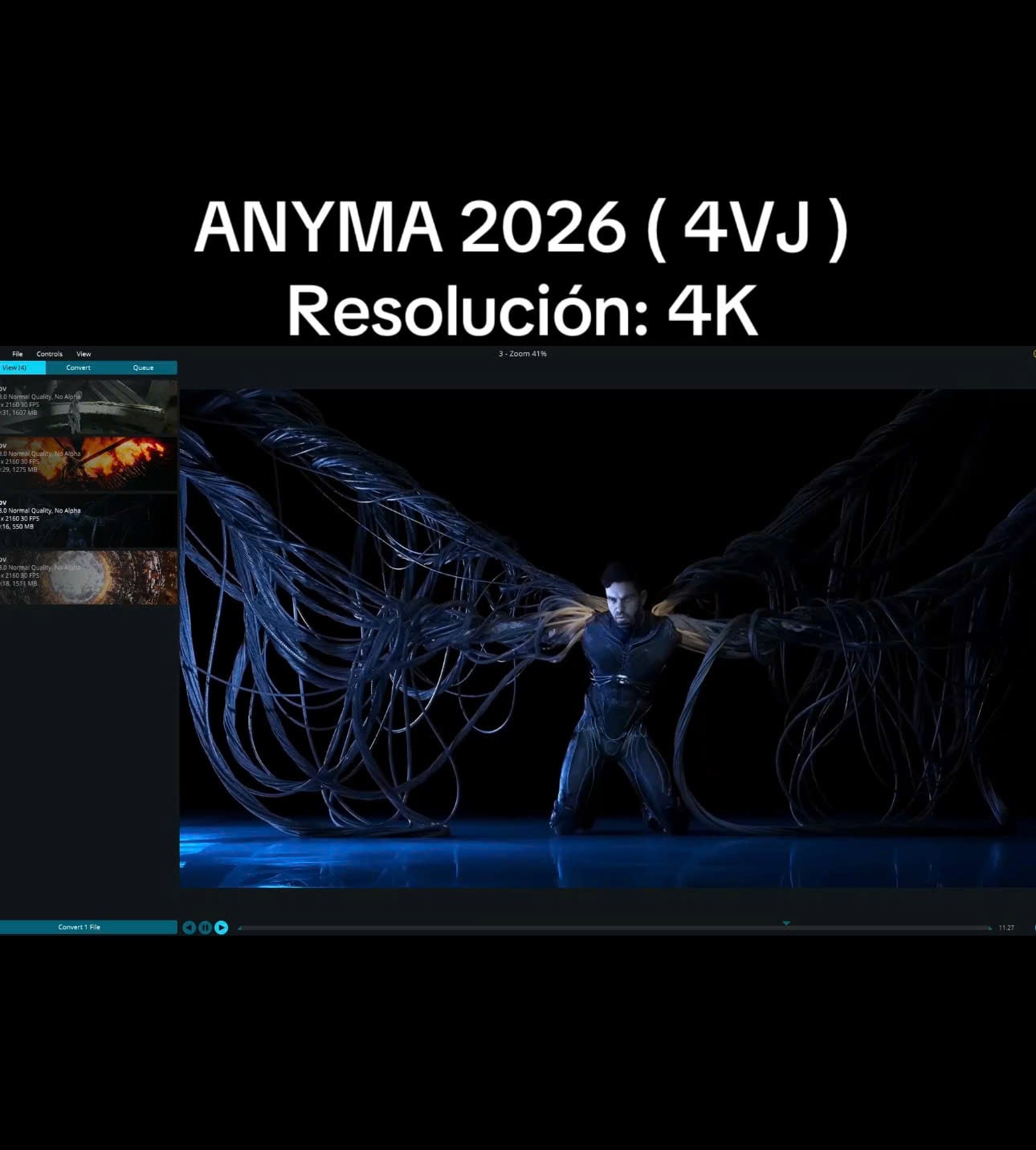 ANYMA 2026 4K ( 4 VJ )