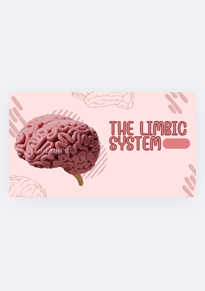 Limbic System PowerPoint presentation