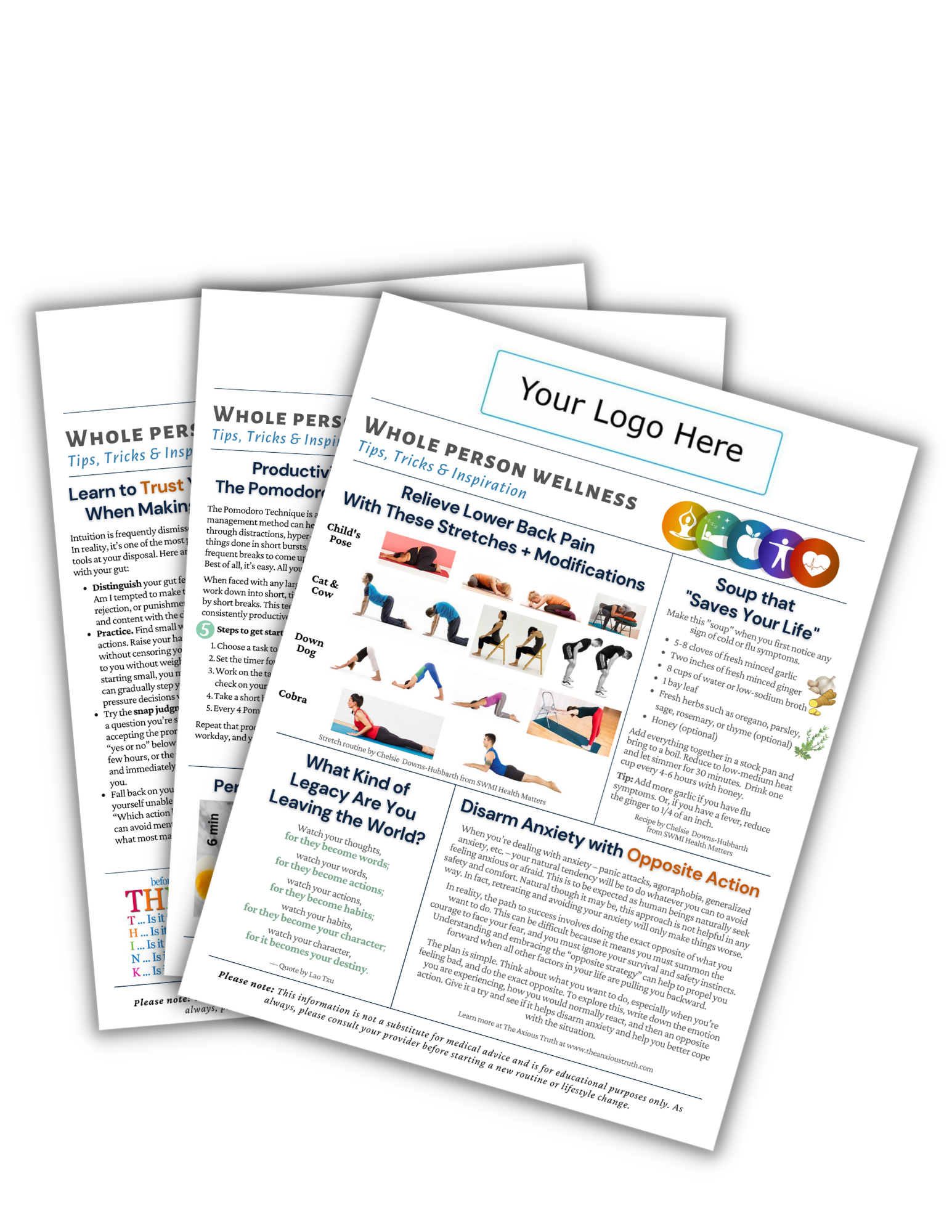 12 Months of Wellness Newsletters Done for You – Just Add Logo & Send!