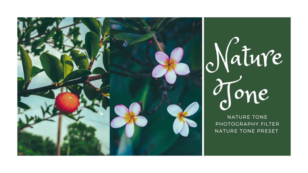 Nature Tone Filter - Lifestyle Filters, Influencer Preset, Mobile ...