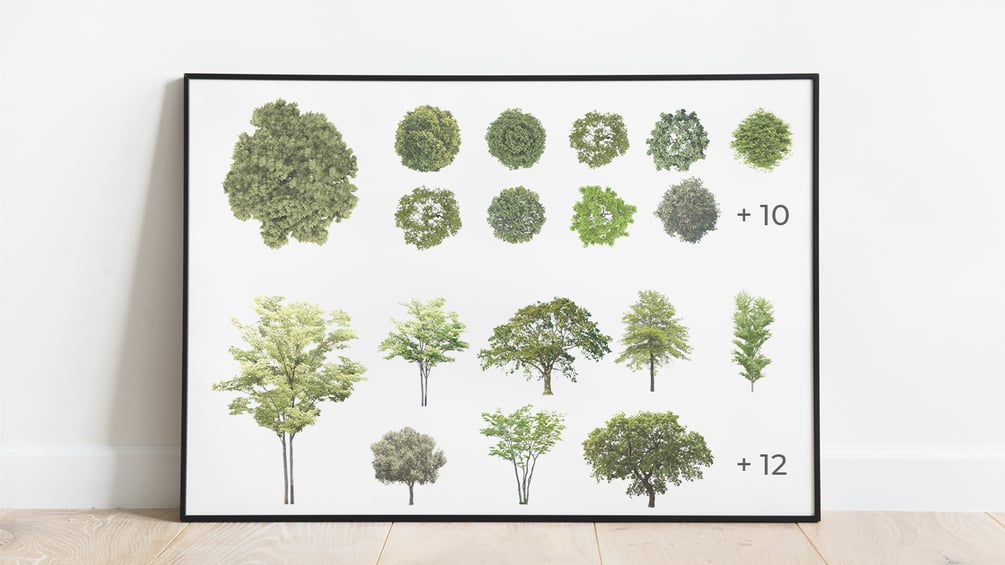 40 Trees Pack - PNG