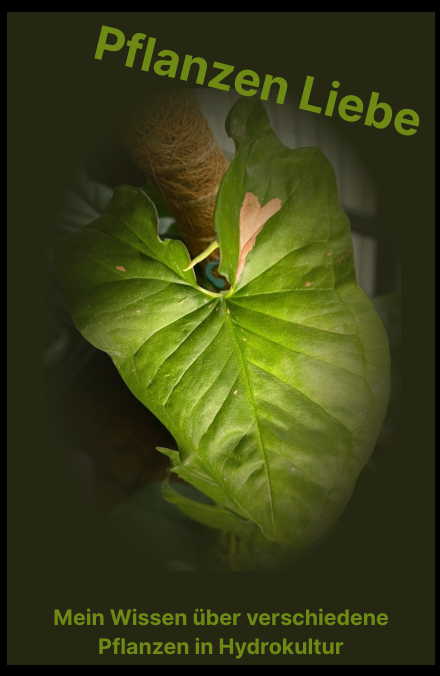 Pflanzen Liebe