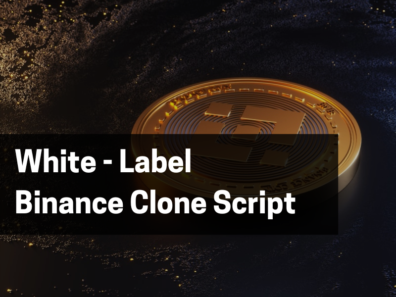 Binance clone script