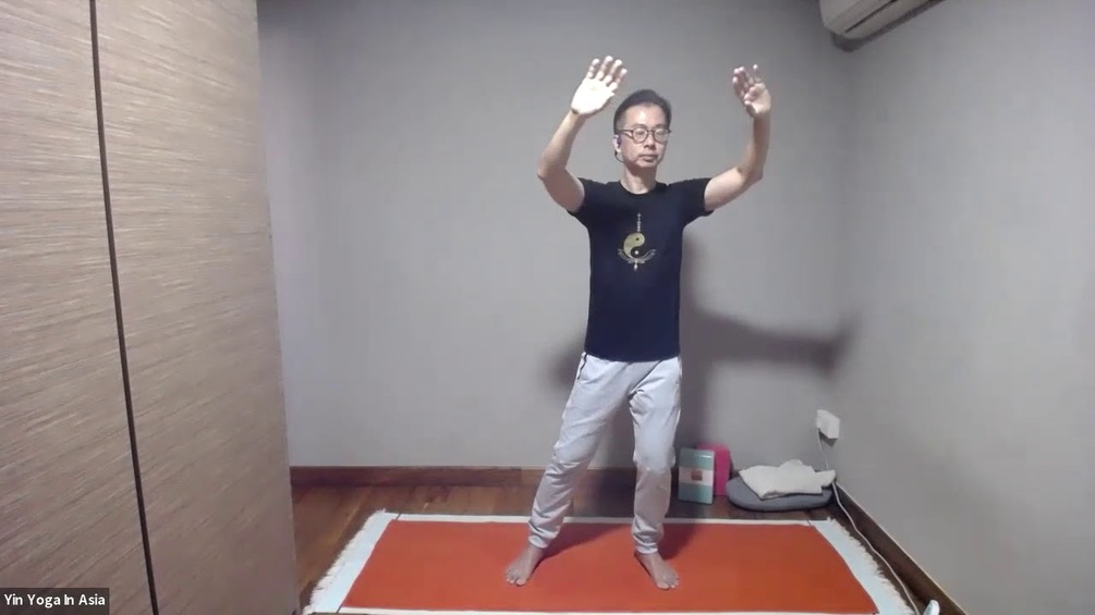 Basic Qigong & Swimming Dragon Practice 2 | Session 5